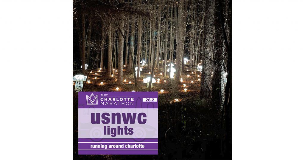 Meredith Connelly – USNWC Lights